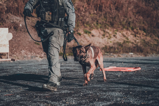 Direct Action Combat